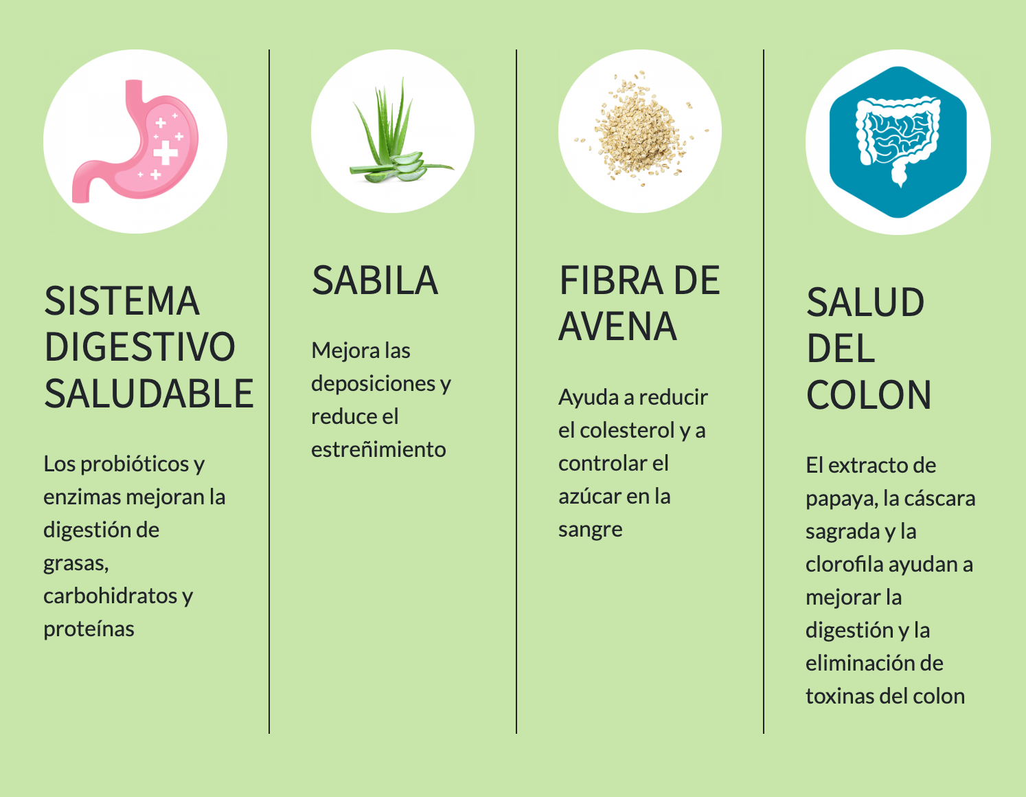 MAX Digestive 60 Servicios